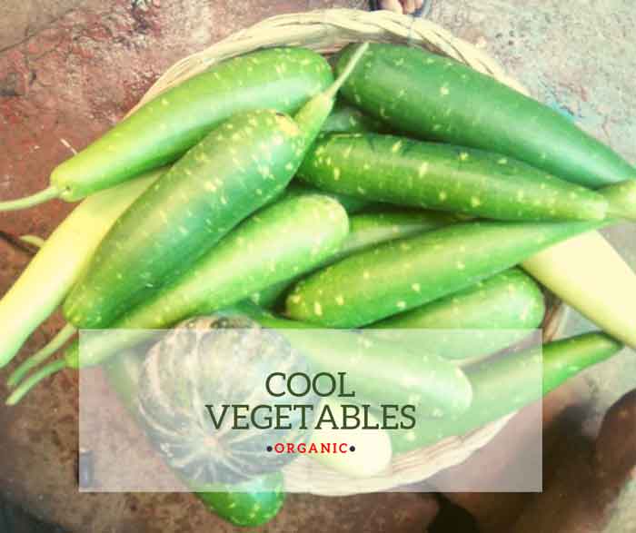 Foods to reduce body heat in summer - BlogsAuthor