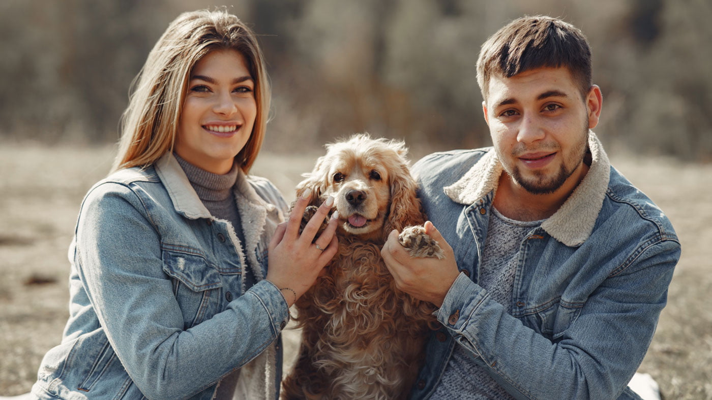 Do I need a dog - BlogsAuthor